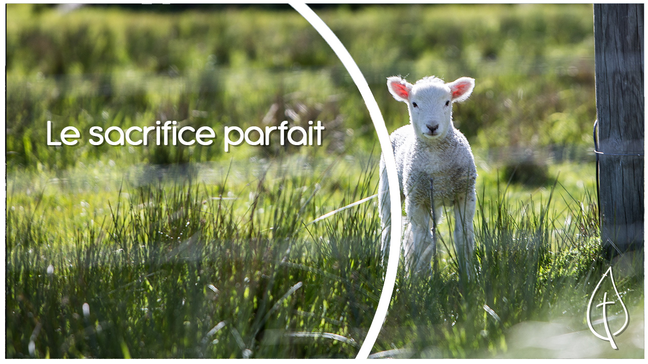 Le sacrifice parfait - Eglise du CEP